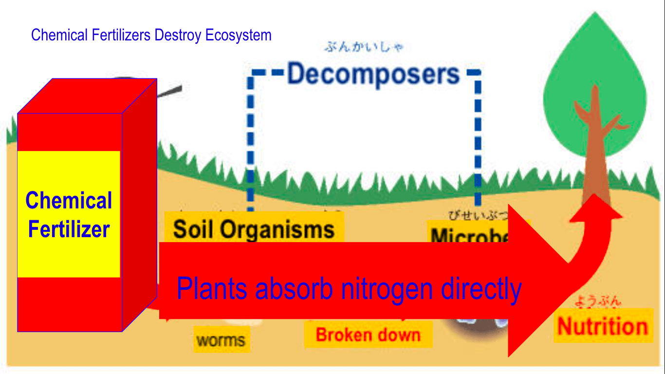 Keep Your Soil Clean: Key to Successful Nature Farming & Gardening ...